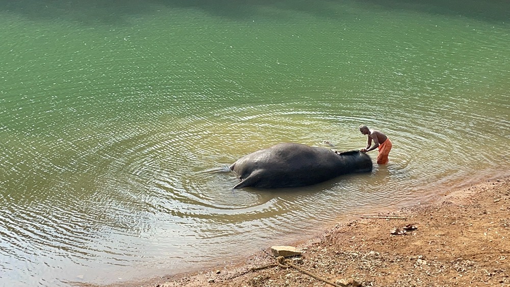 Discover India Program » Ithu Agasthyarkoodam – Narrating the Untold ...
